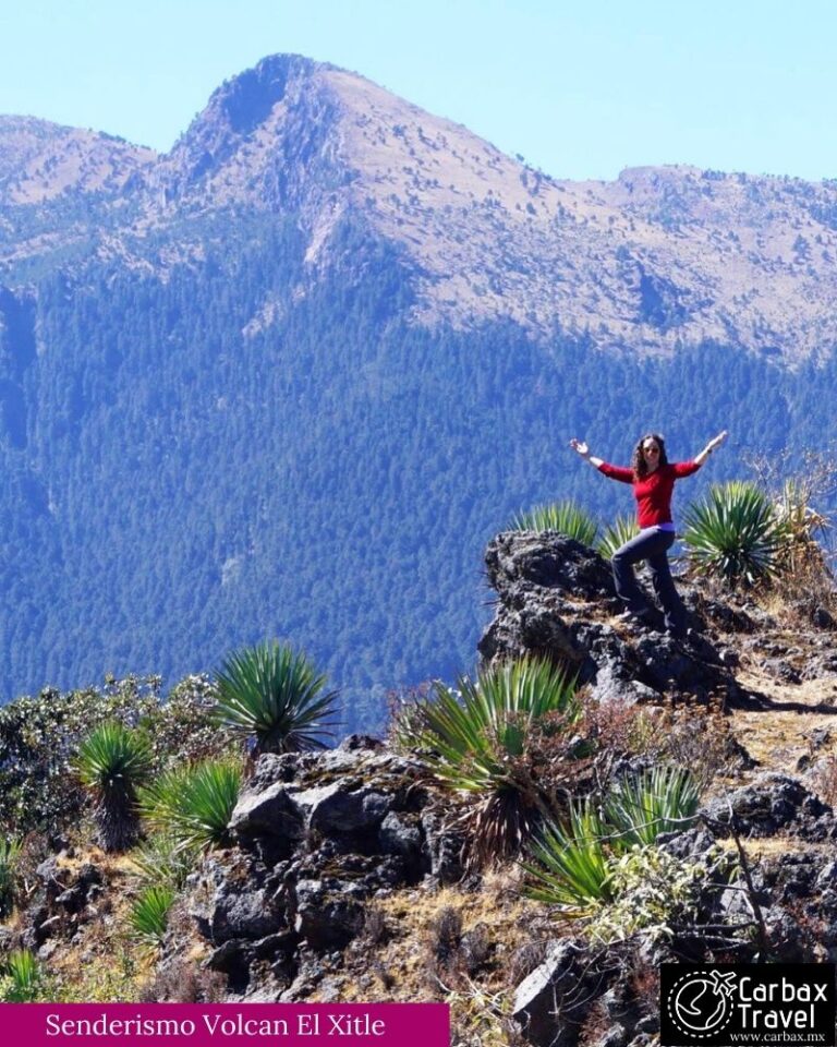 Guia para Volcan Xitle - Sur de Ciudad de México, Ajusco - Carbax travel