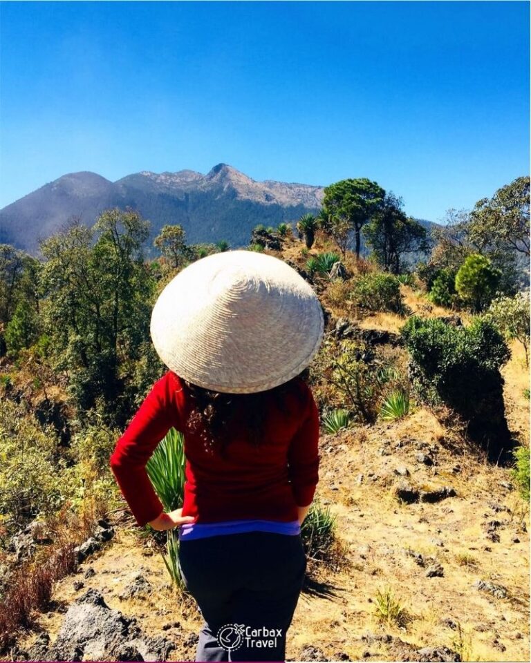 Guia para Volcan Xitle - Sur de Ciudad de México, Ajusco - Carbax travel